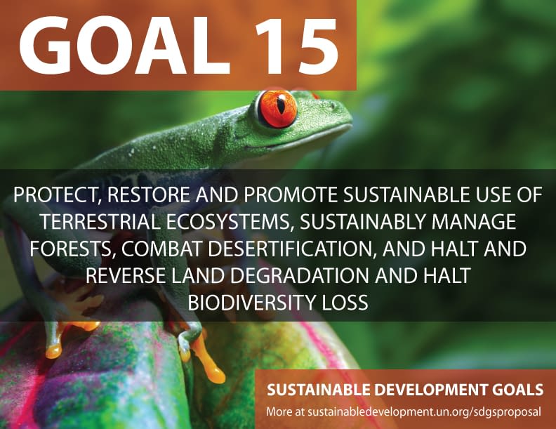 The Full List of the 17 United Nations Sustainable Development…