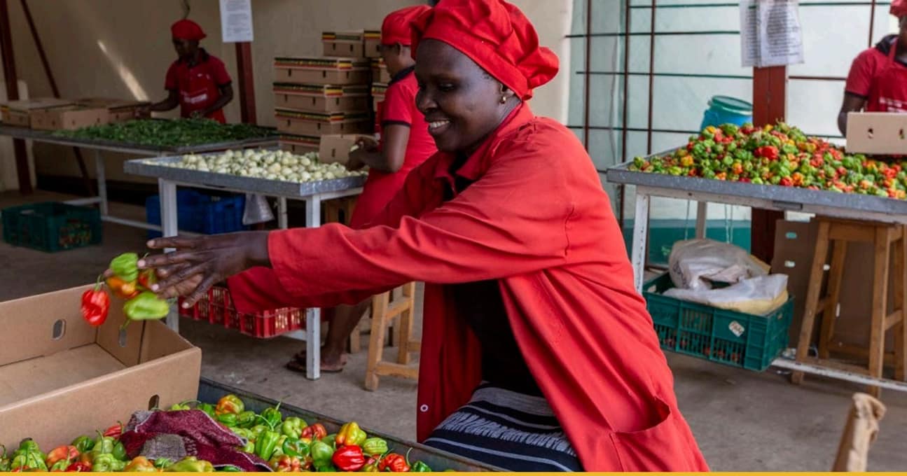 Key Lessons From Argidius’ SCALE Report to More Effectively…