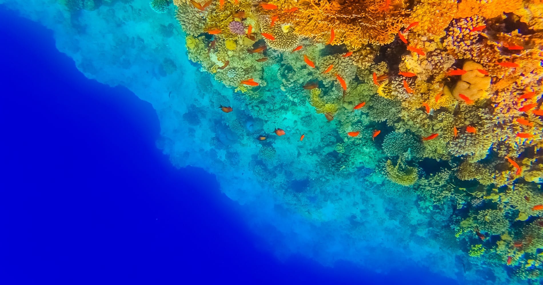 September 2023 Social Impact News Roundup: An Ecosystem Approach…