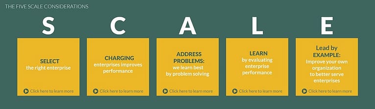 Key Lessons From Argidius’ SCALE Report to More Effectively…