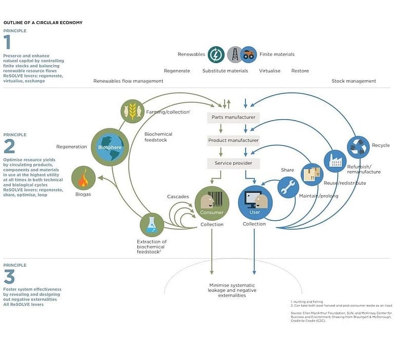 Creating a More Equitable and Sustainable “New Normal” Post-COVID