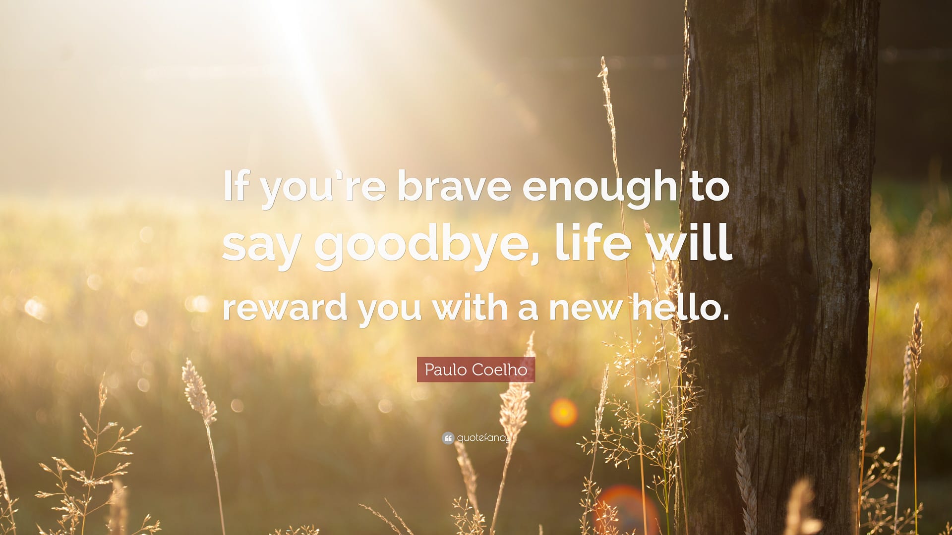 19 Paulo Coelho Quotes to Set You Up for Success
