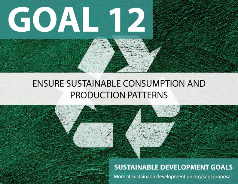 The Full List of the 17 United Nations Sustainable Development…